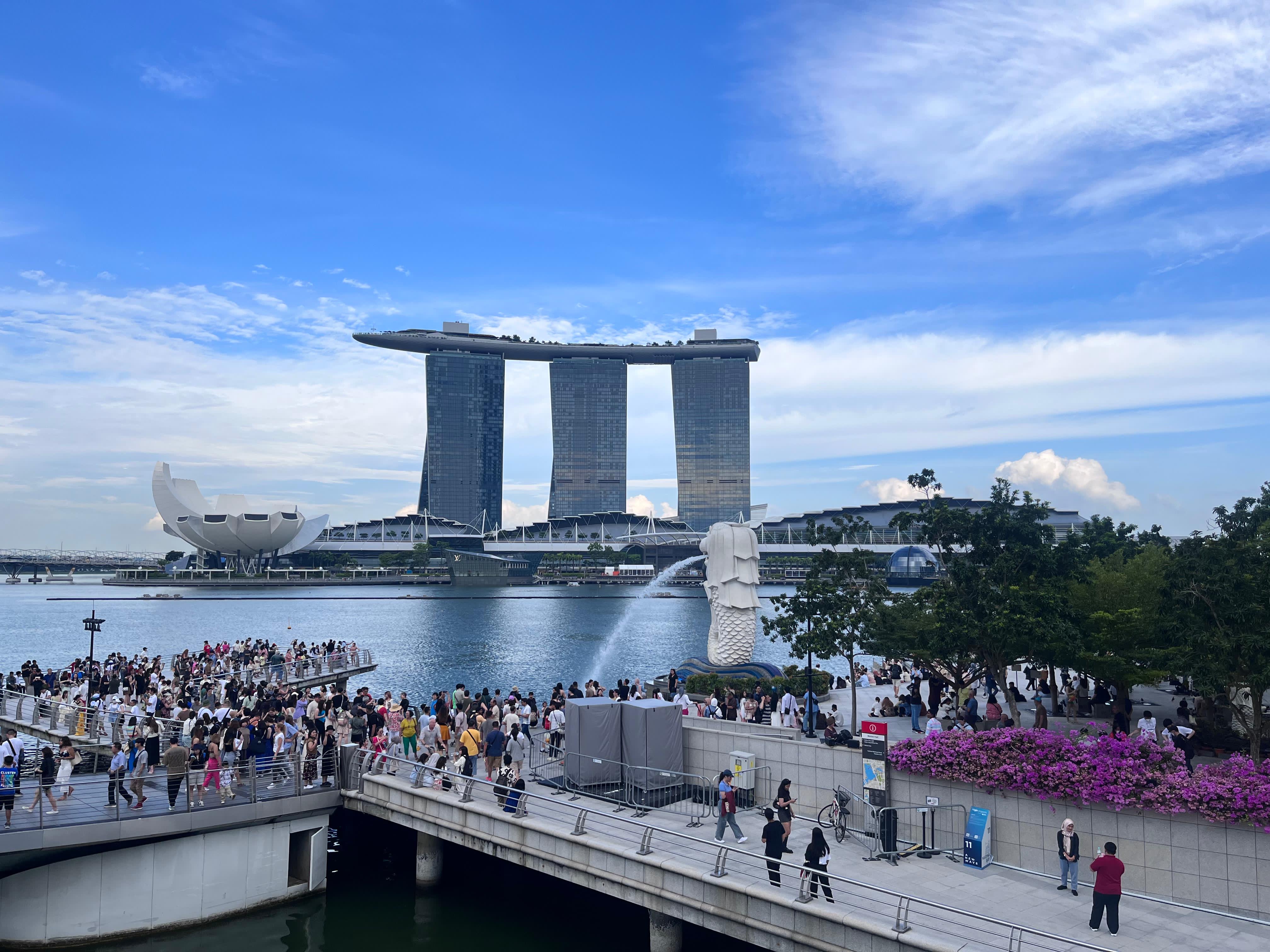 Gallery – Jacque Ip Lab