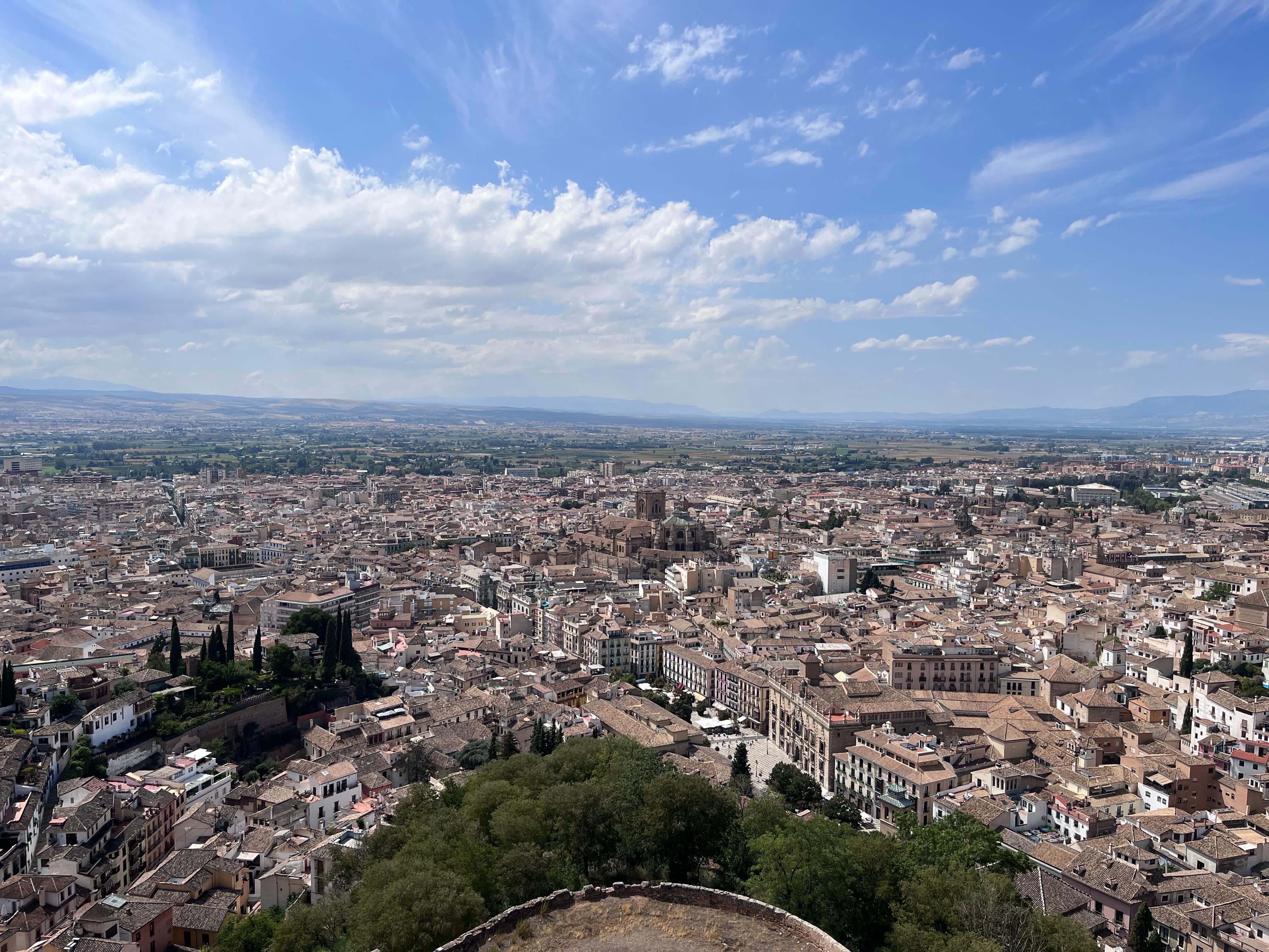 Gallery – Jacque Ip Lab