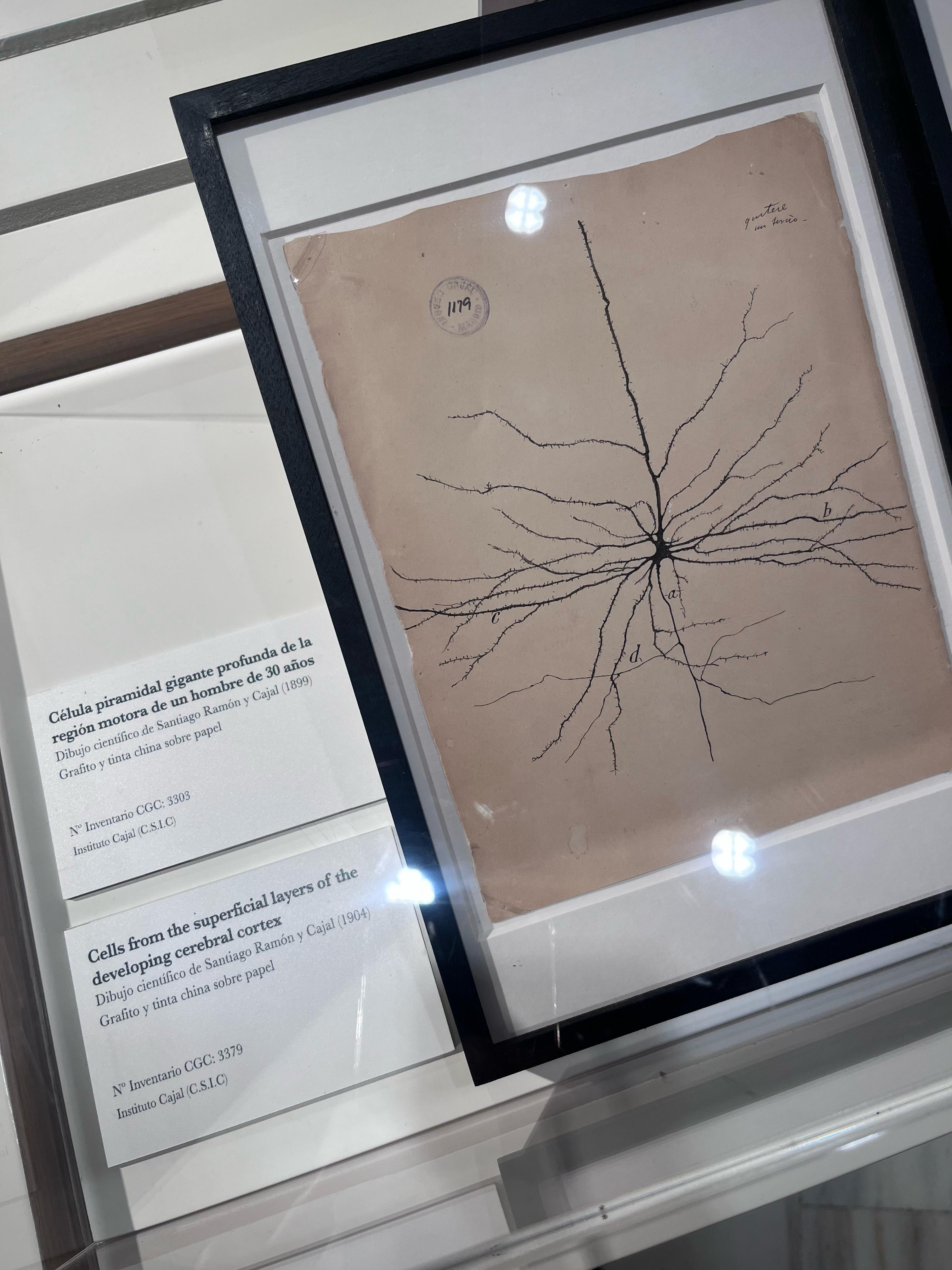 Gallery – Jacque Ip Lab